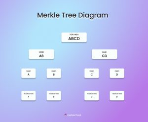 Merkle tree in blockchain, explained
