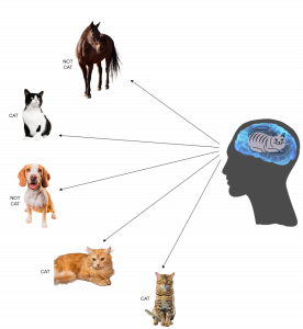 What is Latent Space in Deep Learning — Explained!