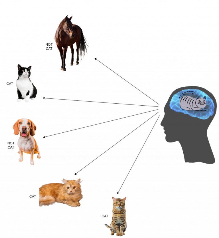 What is Latent Space in Deep Learning — Explained!